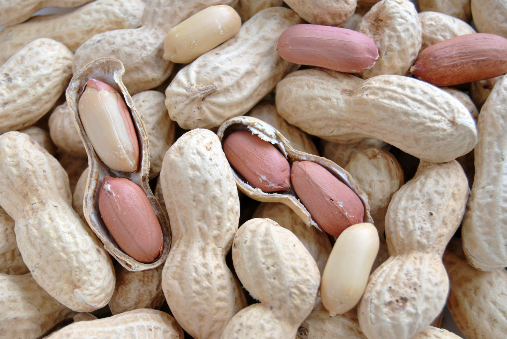 Warum die gesunden Erdnüsse so viele Kalorien haben - Die Frische Küche