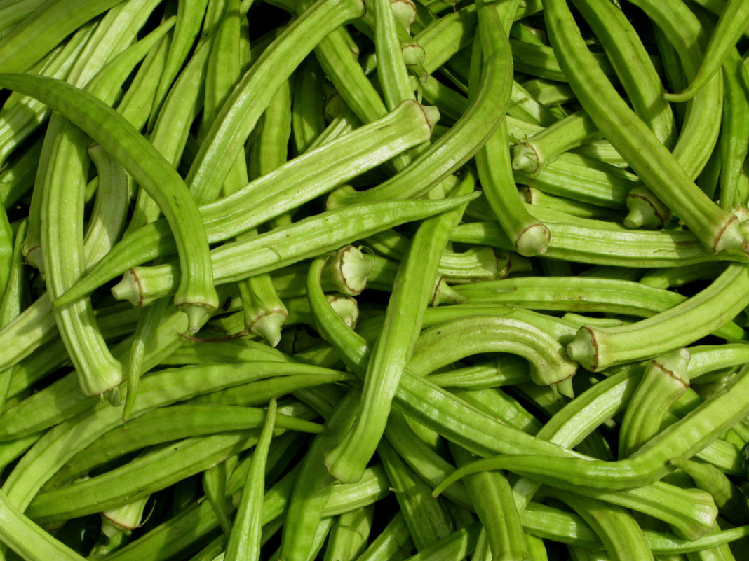 Was ist Okra? Wie schmecken Okraschoten? Ist Okra gesund? - Die Frische ...