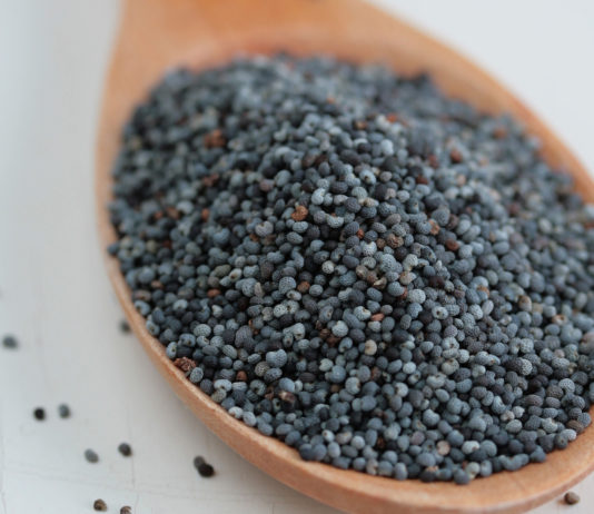 Die Frische Küche: Natürlich Qualität, Natürlich Kochen